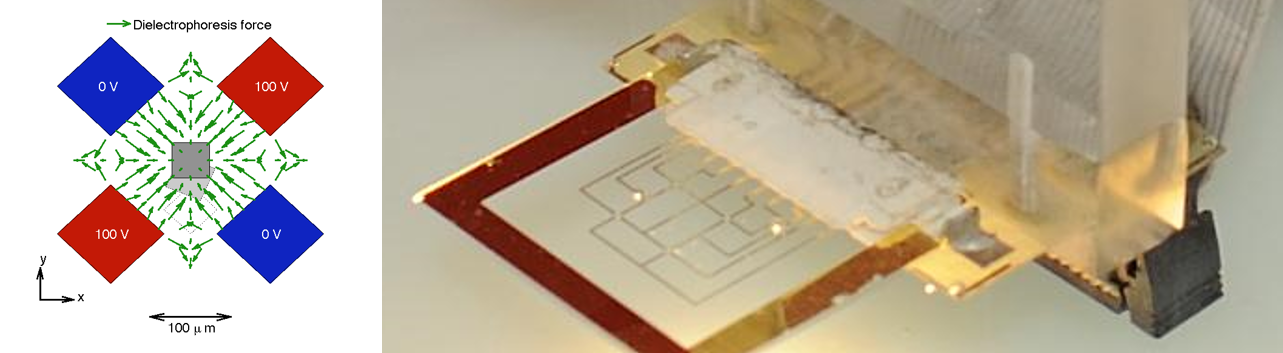 Microfluidics and BioMEMS Laboratory (MBL) FEMTO-ST Institute